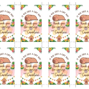Capybara Birthday Invitation Capybara Celebration Jungle Theme Baby ...
