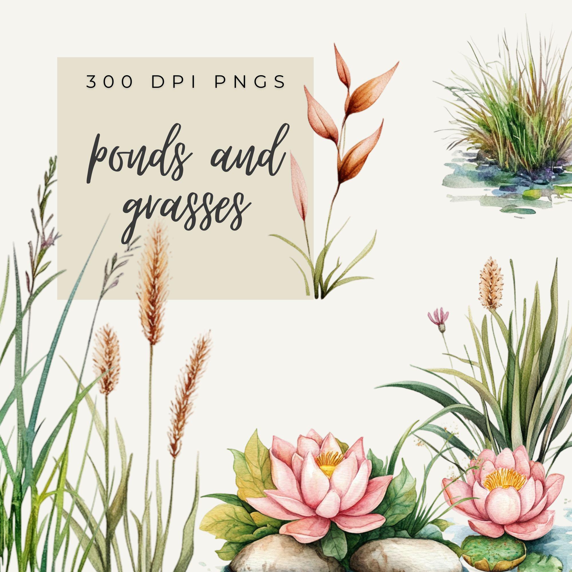 Cute Frog Pond Clipart, Watercolor PNG Bundle for Sublimation and ...