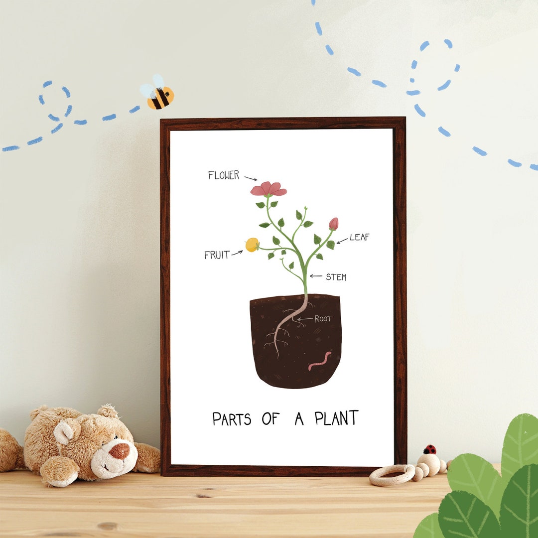 Nature Poster, Nursery Room Poster, Homeschool Poster, Garden Print ...