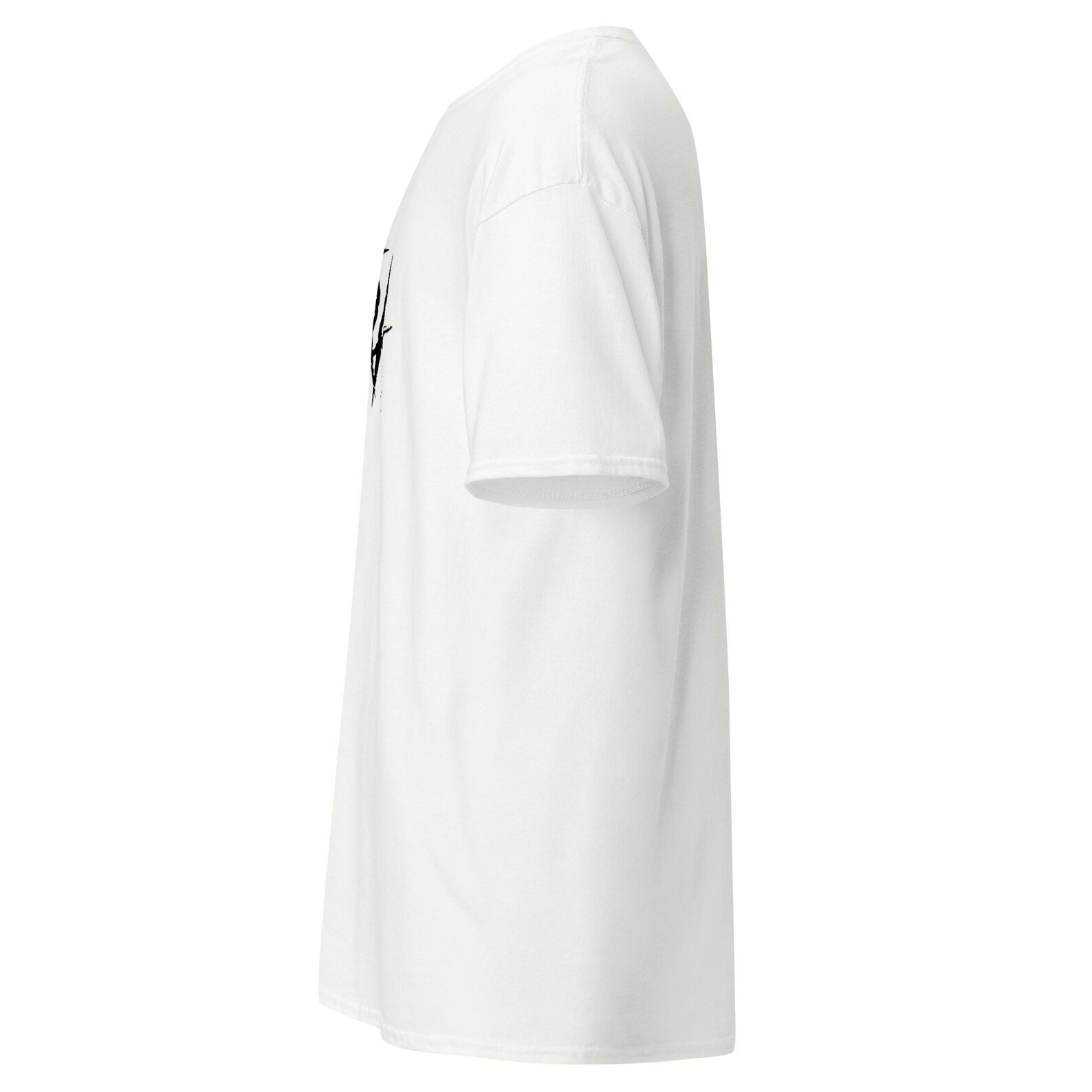 Luar La L Singer Men's T-shirt, Vintage Luar La L T-shirt, Singer T ...