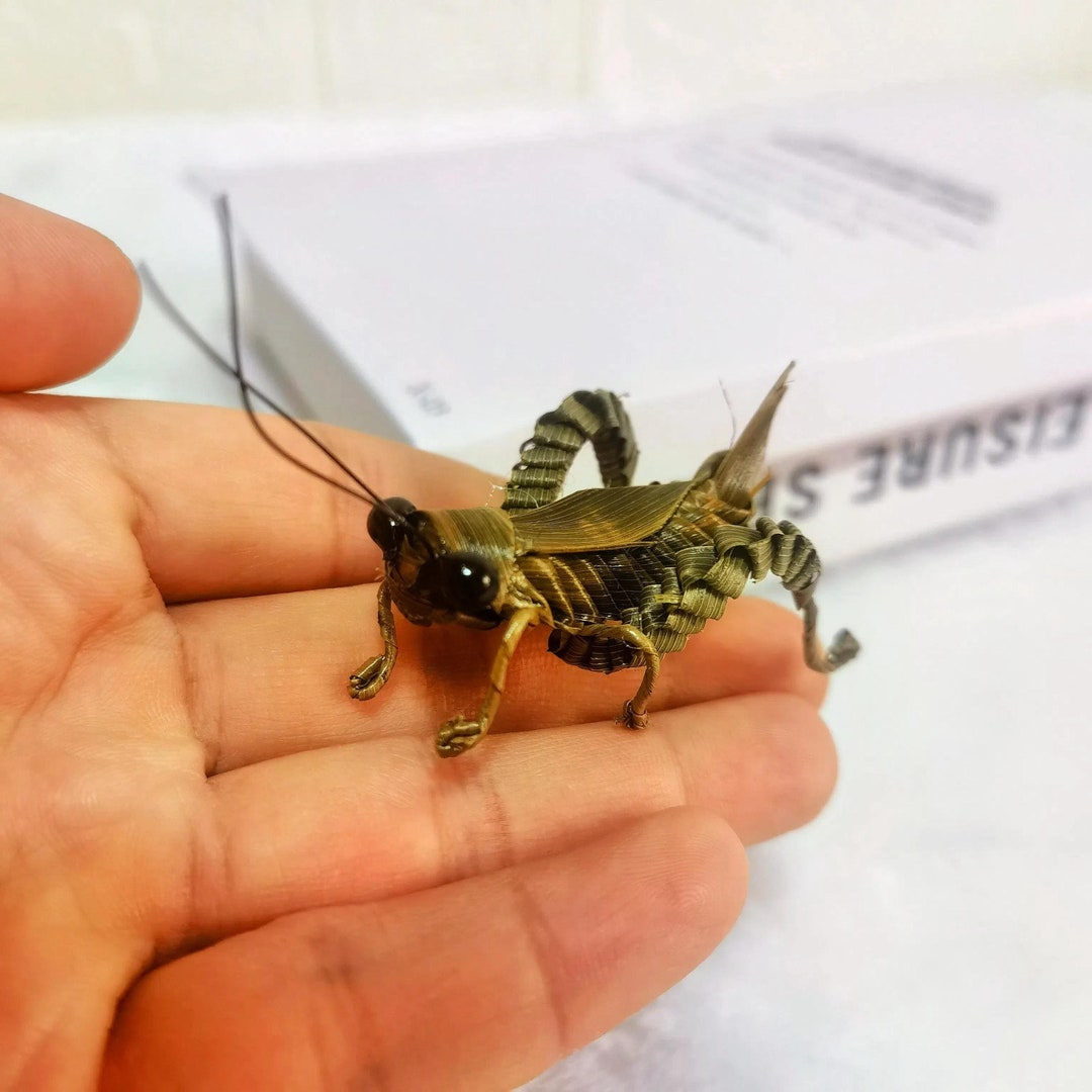 Handcrafted Palm Weaving Grasshopper for Garden Decor: Unique ...
