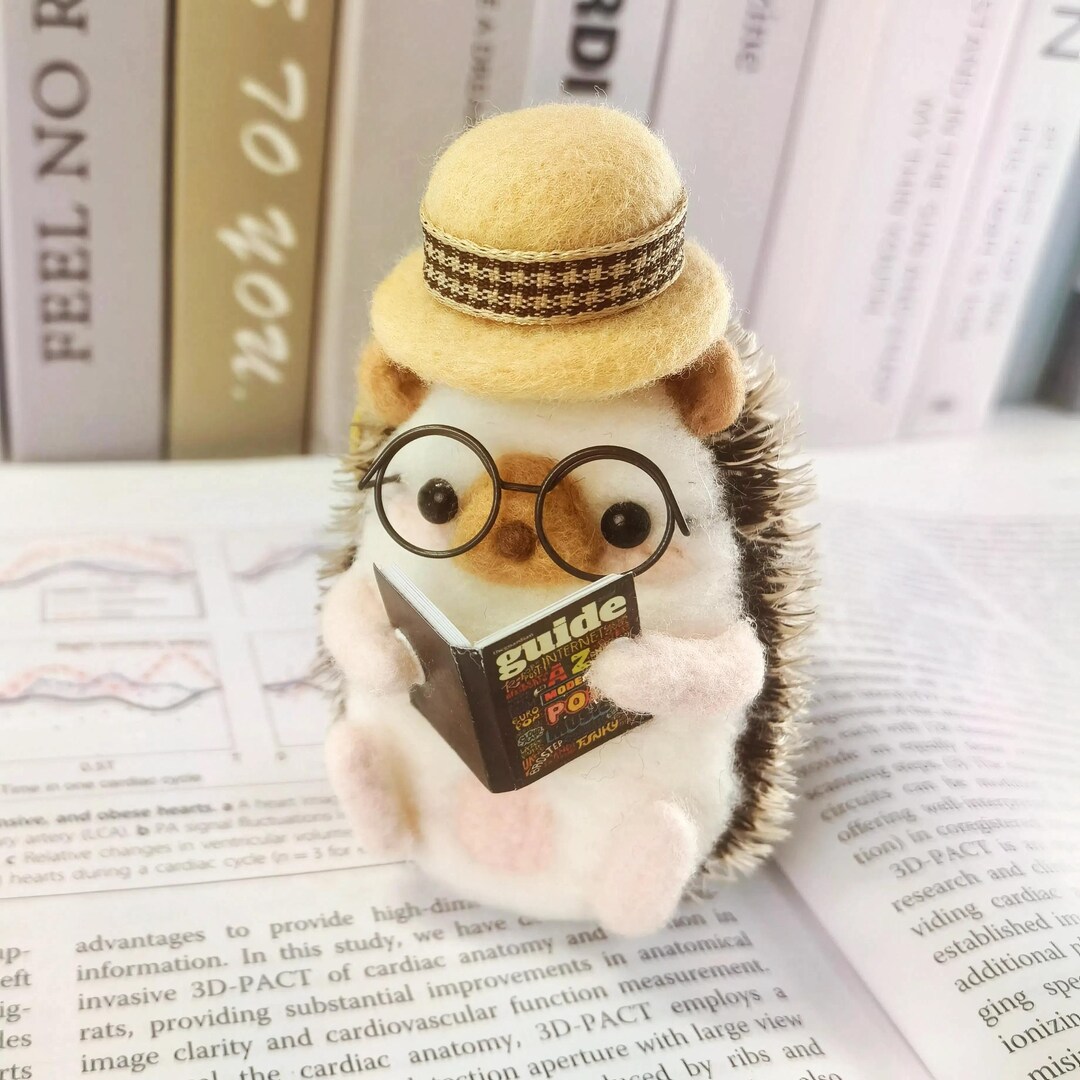 Handcrafted Needle Felted Hedgehog Reading Book - Charming Woolen ...