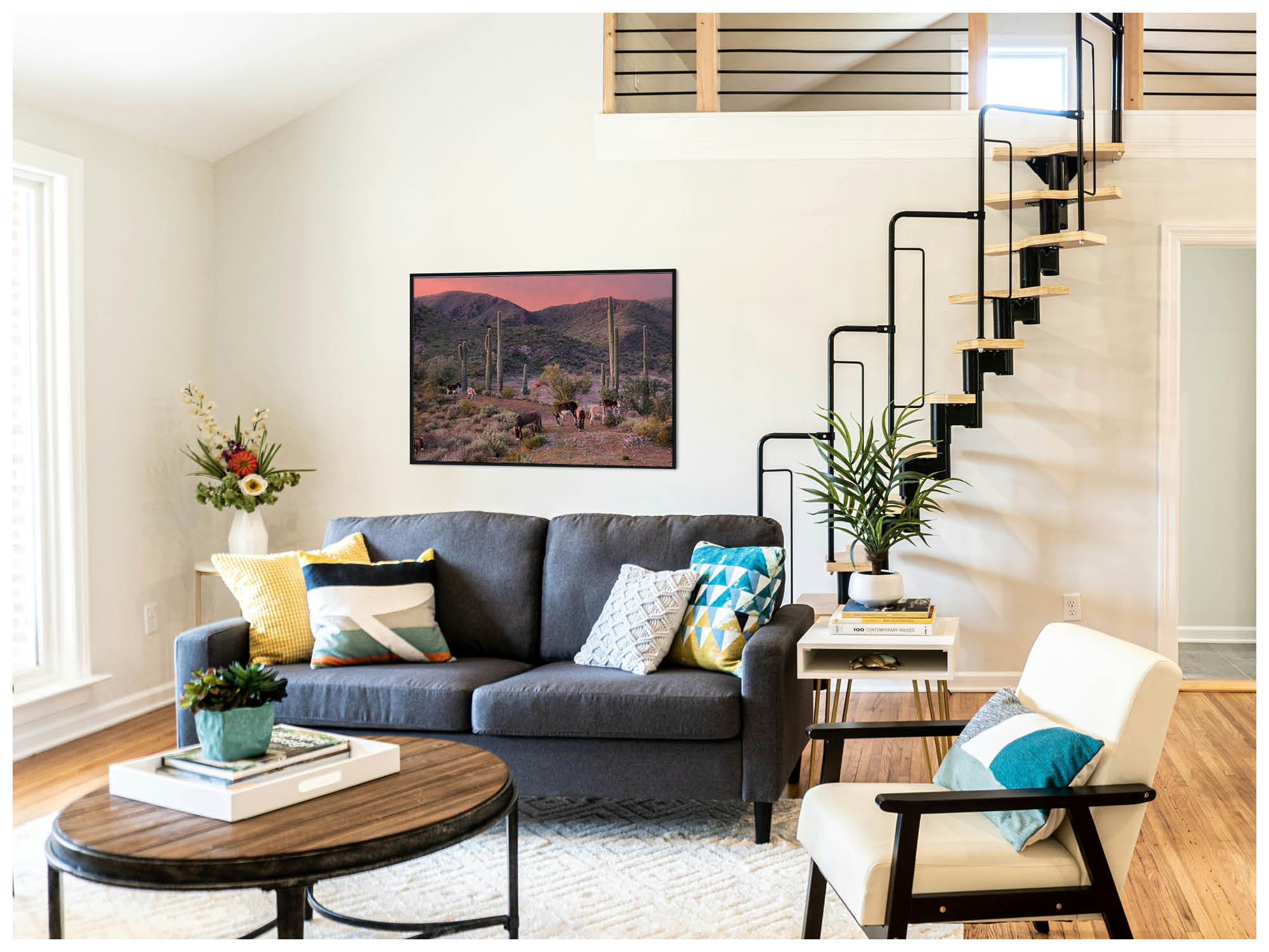 Wild Burro Wall Art for Your Home Decor | Update Your Decor With ...