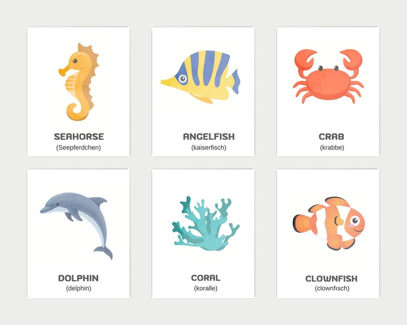 22 Ocean Animals Flash Cards in English and German, German Flash Card ...