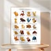 3D Animal Classification Posters, 2D Animals Poster for Kids, Learn ...