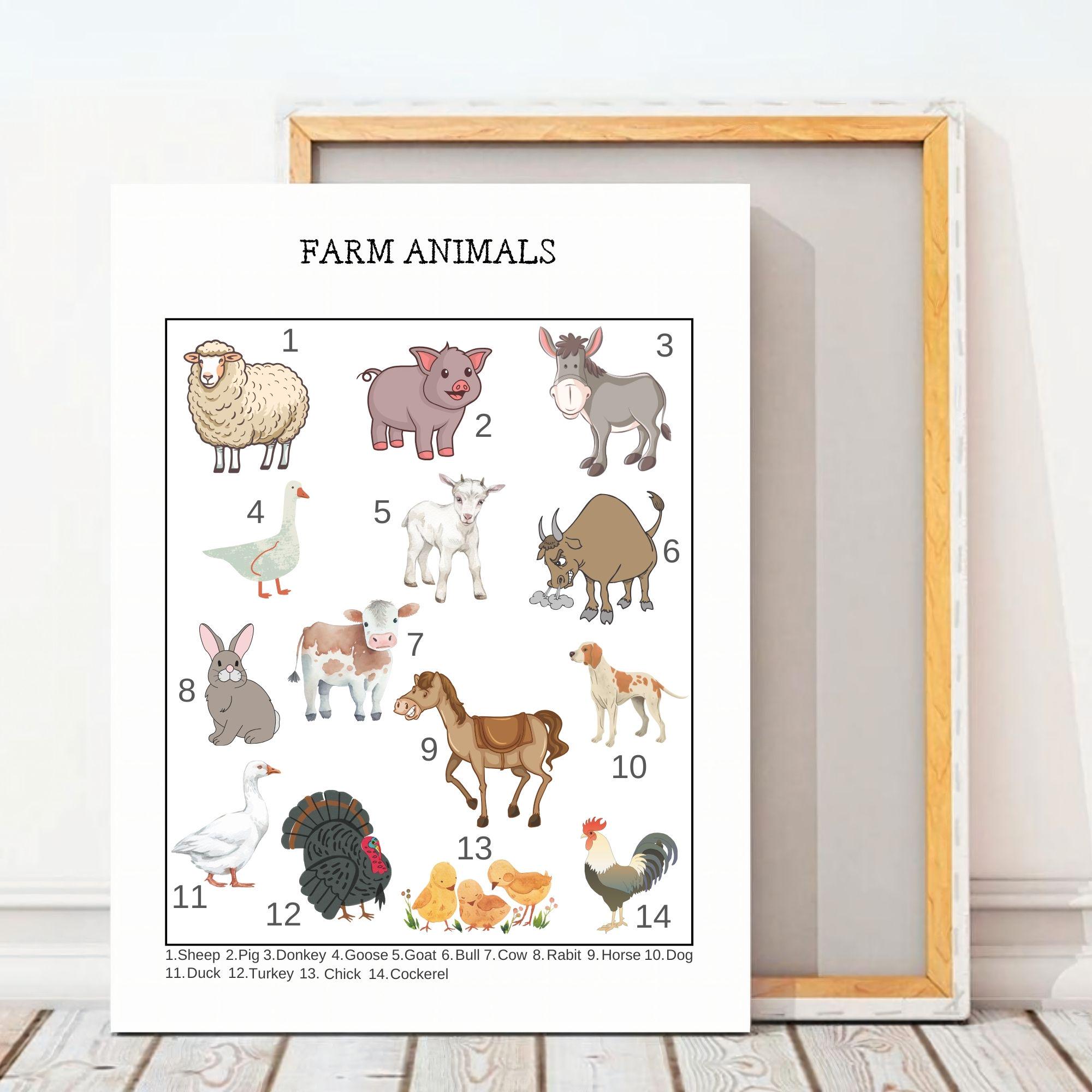 Set of Two Prints, Educational Posters, Farm and Woodland Animals ...