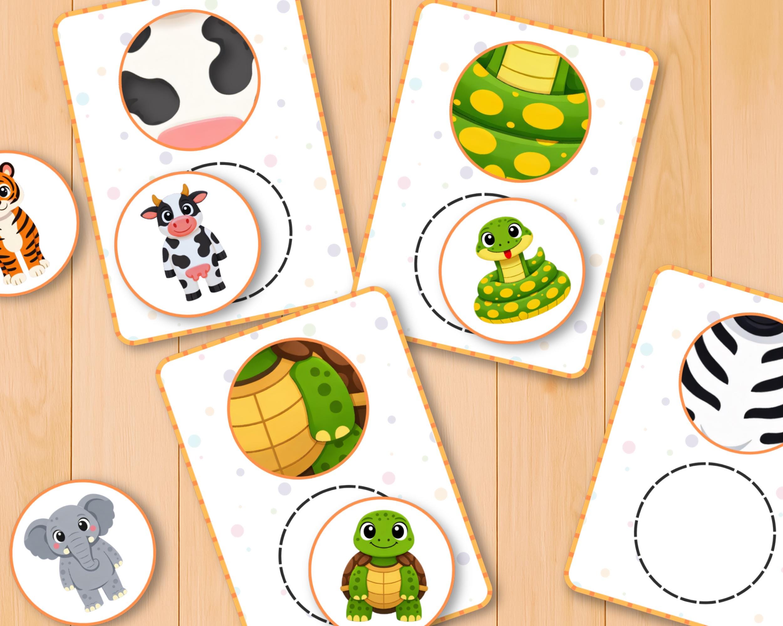 Close up Visual Matching Activity, Preschool, Animal Learning Cards for ...