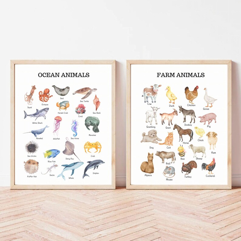 4 Educational Animal Posters, Insects Poster, Farm Animals, Safari ...