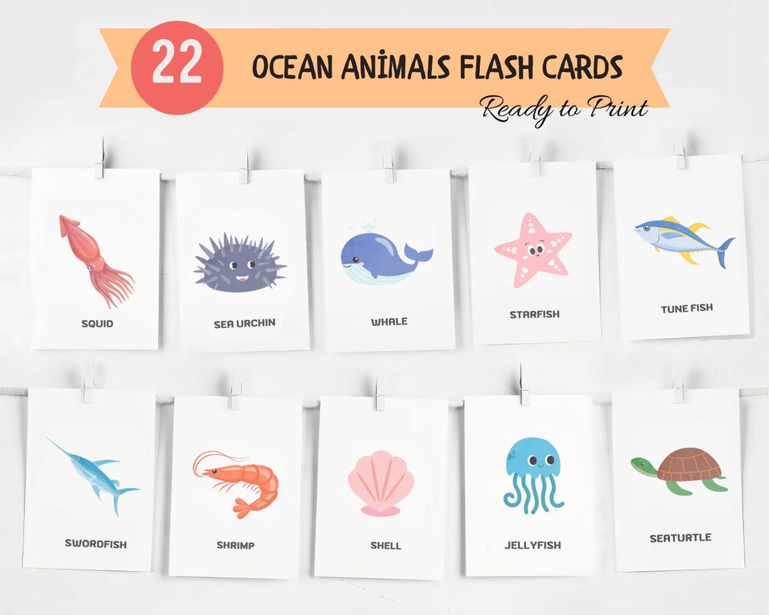 22 Ocean Animals Cards, Montessori Flash Cards, Preschool Cards ...