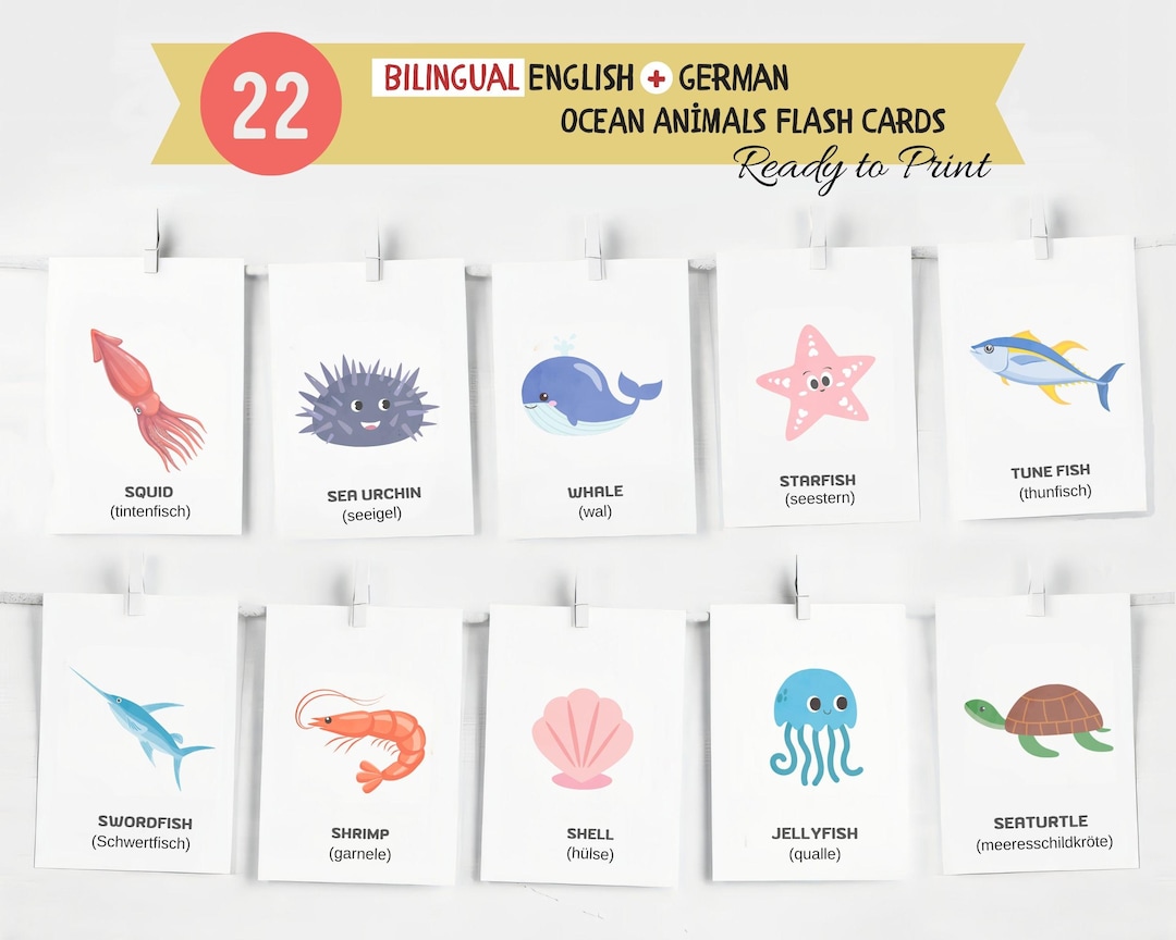 Ocean Animals Flash Cards in English and German, Sea Life Cards ...