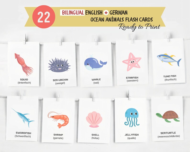 22 Ocean Animals Flash Cards in English and German, German Flash Card ...
