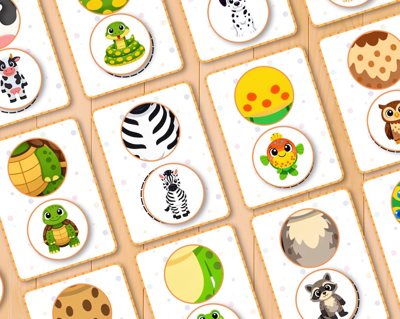 Close up Visual Matching Activity, Preschool, Animal Learning Cards for ...