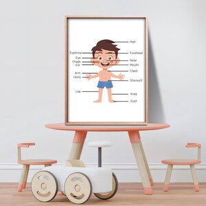 Human Anatomy Poster, Human Internal Organs Downloadable Prints ...