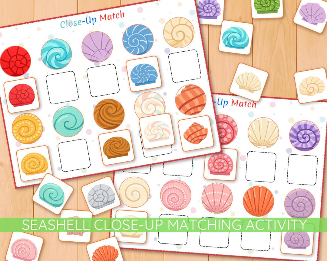 Seashell Close up Matching Activity, Ocean Observation Game, Preschool ...