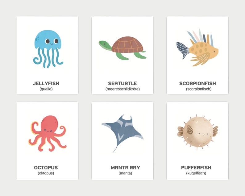 22 Ocean Animals Flash Cards in English and German, German Flash Card ...