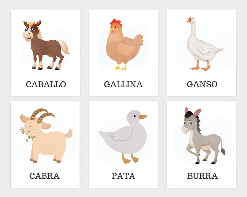20 Spanish Language Farm Animals Flash Cards, Editable Flashcards ...