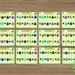 Bird Pattern Activity for Toddlers, Colors Matching and Fine Motor ...