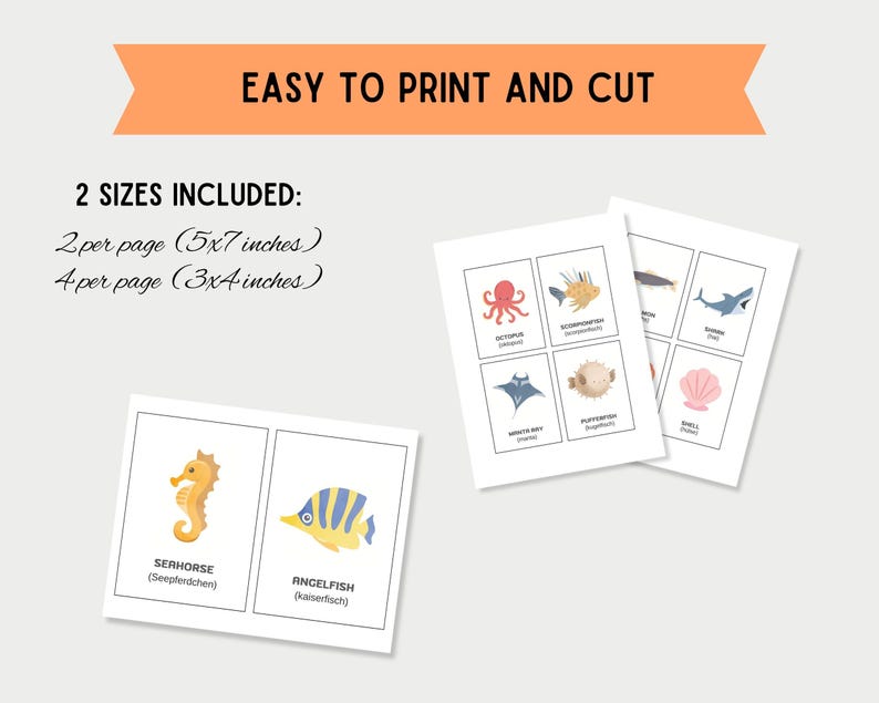 22 Ocean Animals Flash Cards in English and German, German Flash Card ...