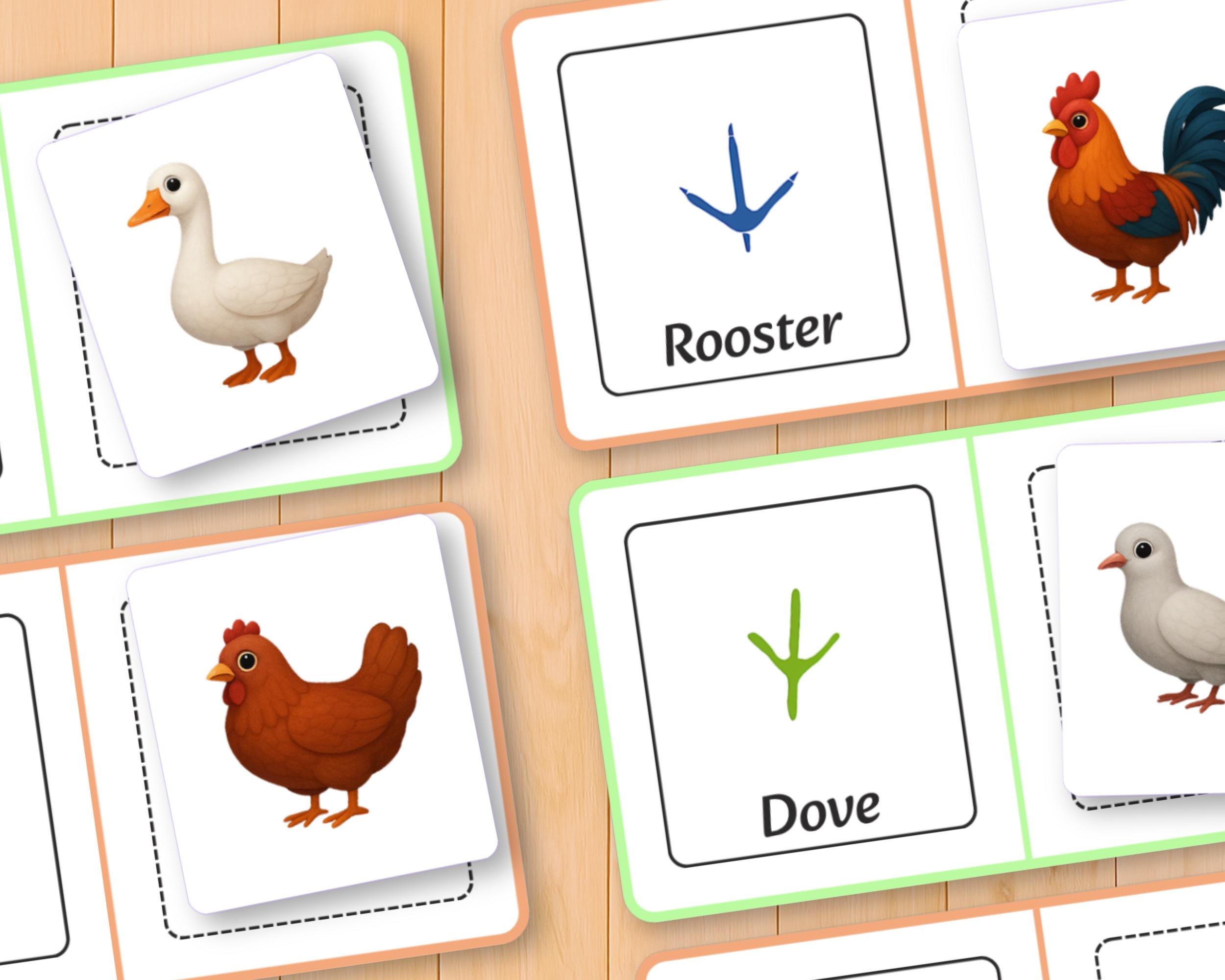Animal Tracks Matching Cards, Animals Footprints Game, Montessori ...