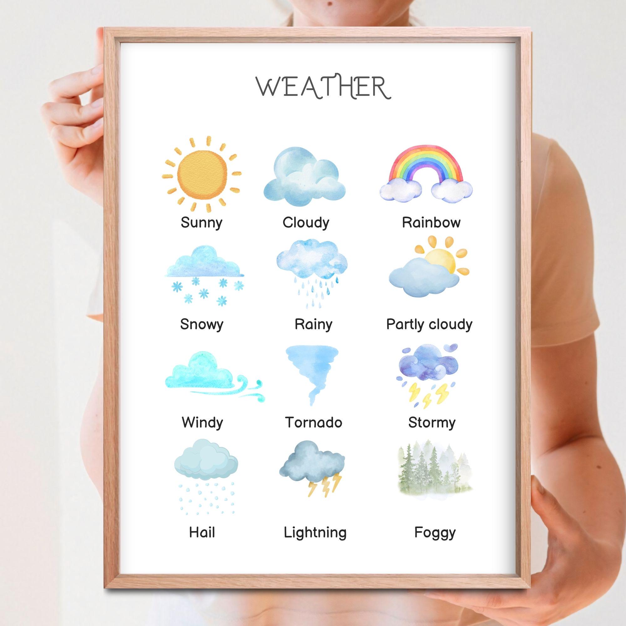 Seasons Poster, Seasons Chart, Weather Poster, Kids Wall Decor ...