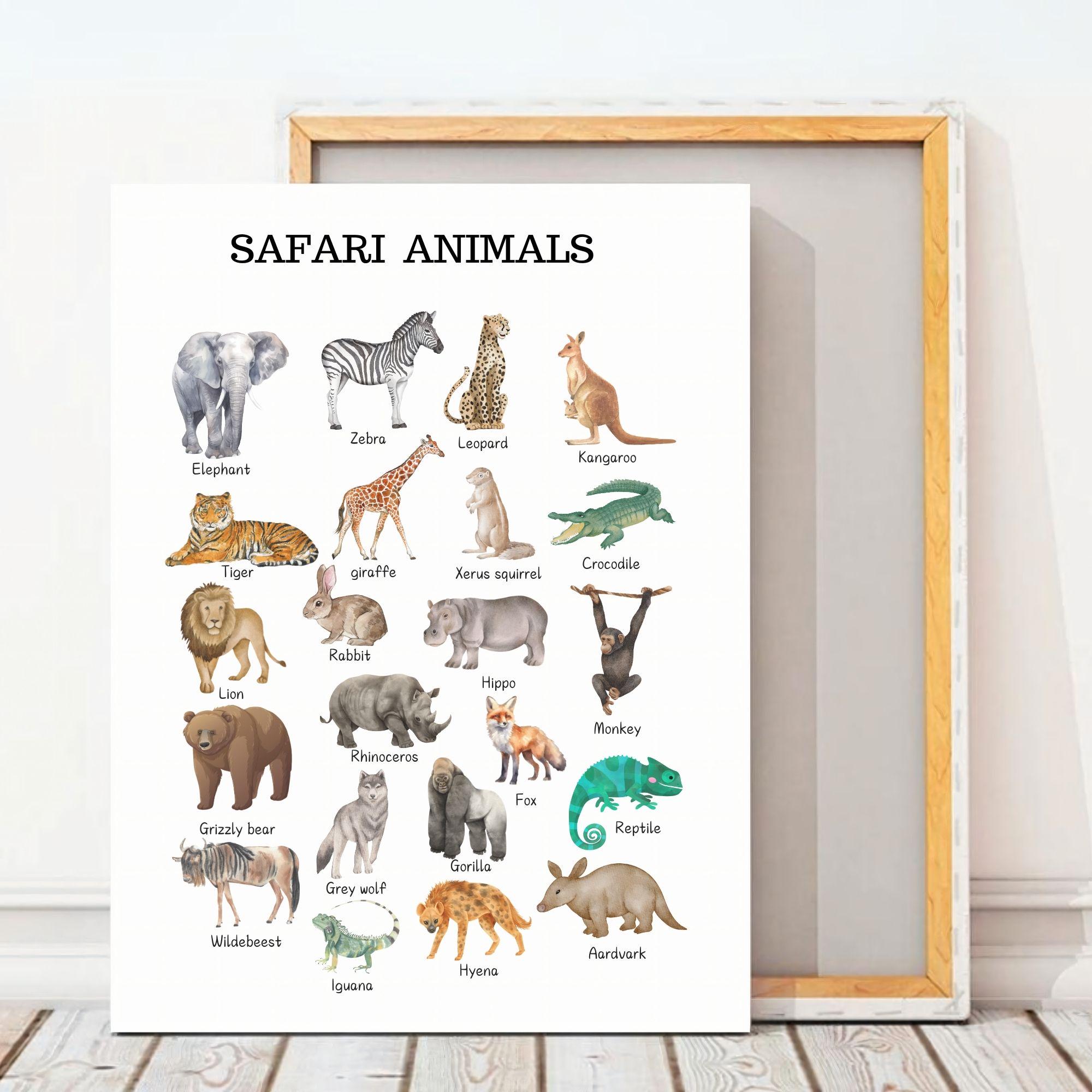 4 Educational Animal Posters, Insects Poster, Farm Animals, Safari ...