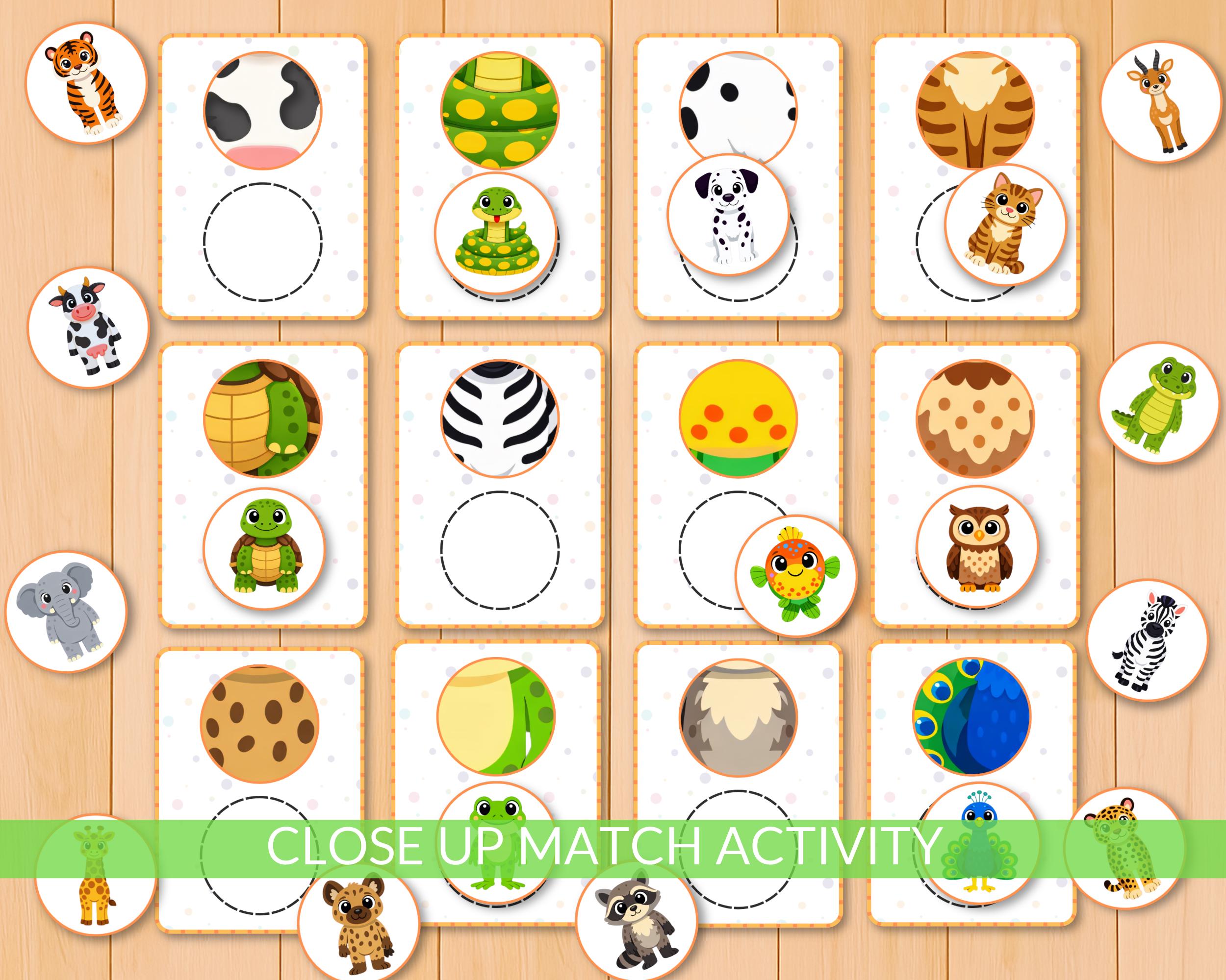 Close up Visual Matching Activity, Preschool, Animal Learning Cards for ...