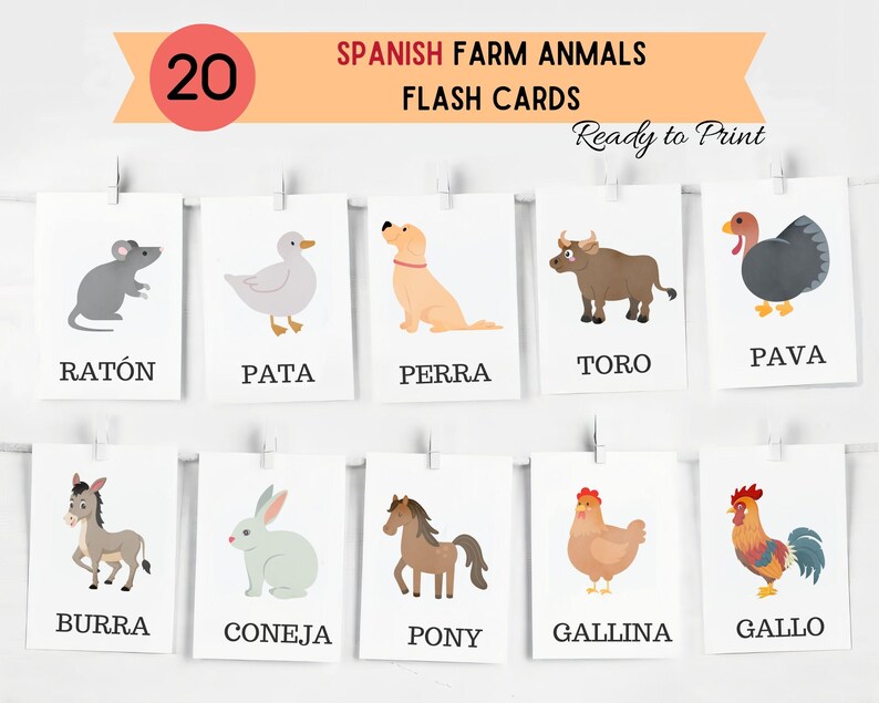 20 Spanish Language Farm Animals Flash Cards, Editable Flashcards ...