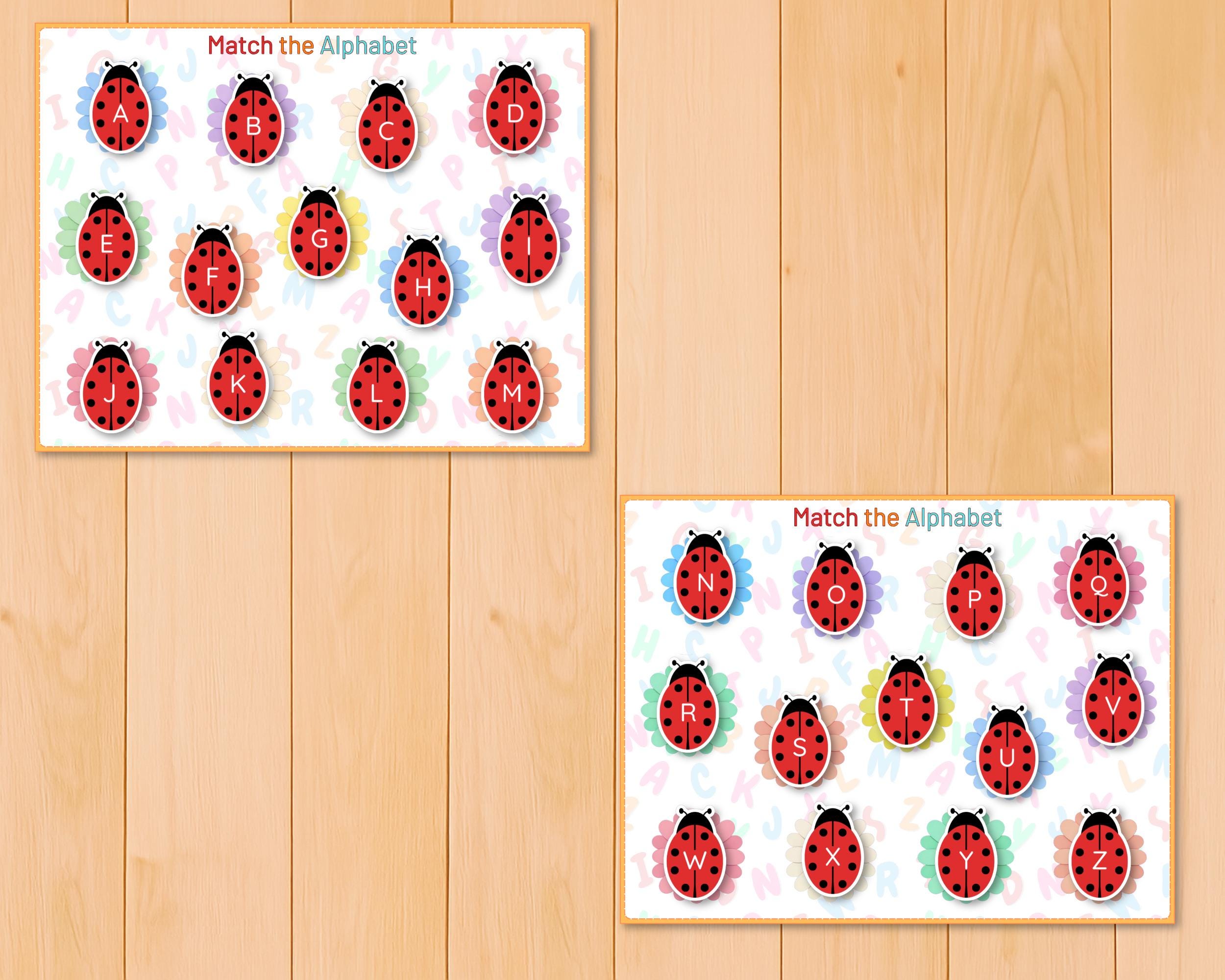 Ladybug and Flower Alphabet Game, Uppercase Lowercase Match, Preschool ...