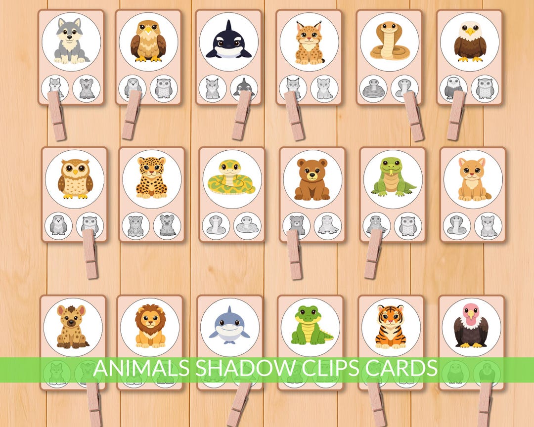 Animal Shadow Matching Clips Cards, Visual Discrimination Activity for ...