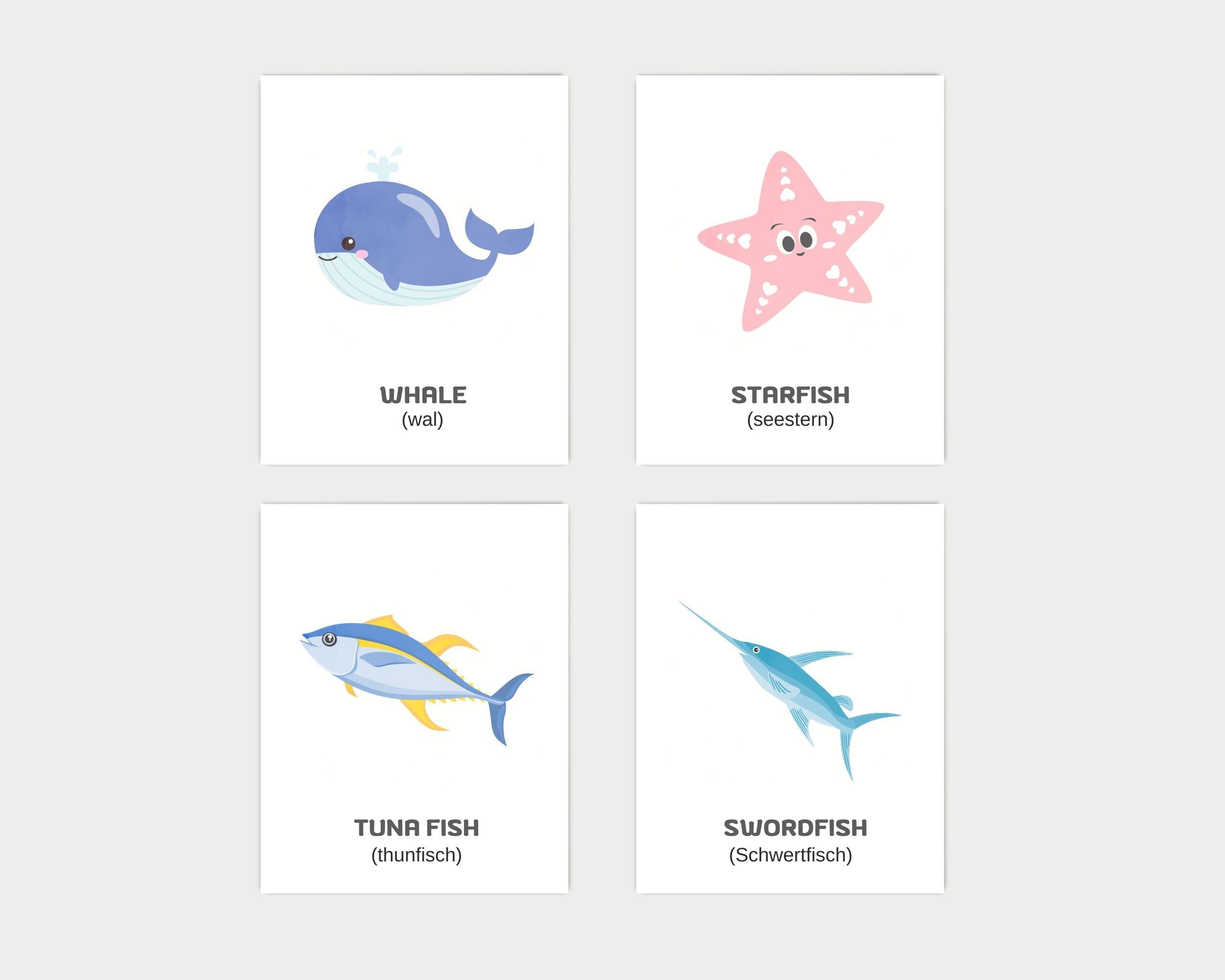 22 Ocean Animals Flash Cards in English and German, German Flash Card ...