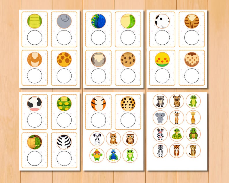 Close up Visual Matching Activity, Preschool, Animal Learning Cards for ...