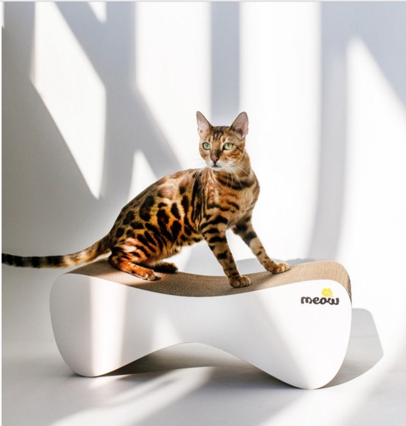 Cat Scratcher Bed 3 In1 Scratching Post for Cats Cat Scratch Bed Cat ...