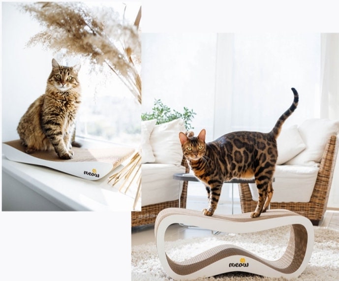 Cat Scratcher Bed 3 In1 Scratching Post for Cats Cat Scratch Bed Cat ...