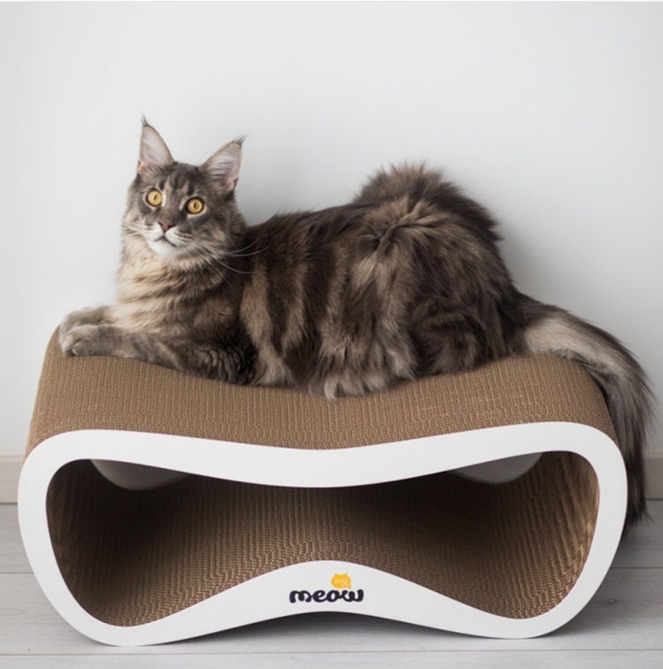 Cat Scratcher Bed 3 In1 Scratching Post for Cats Cat Scratch Bed Cat ...