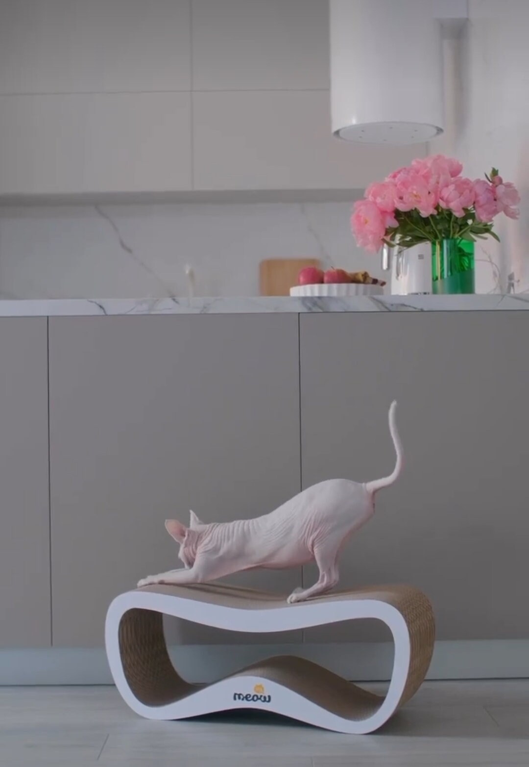 Cat Scratcher Bed 3 In1 Scratching Post for Cats Cat Scratch Bed Cat ...