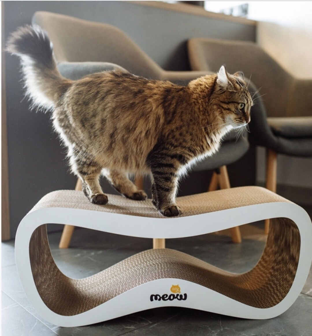 Cat Scratcher Bed 3 In1 Scratching Post for Cats Cat Scratch Bed Cat ...