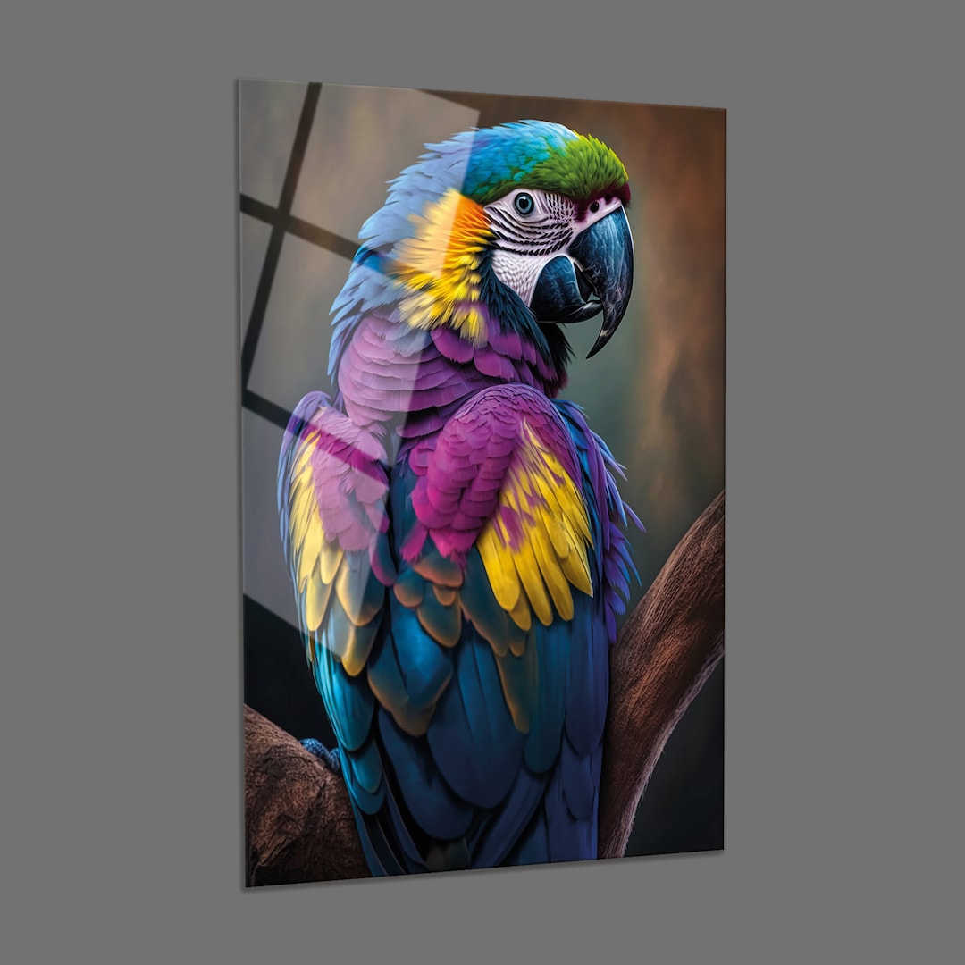 Colorful Macaw Image Glass Wall Art , Tempered Glass Wall Painting ...
