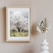 Spring Blossom Tree Photography Print: Neutral Home Decor (digital ...