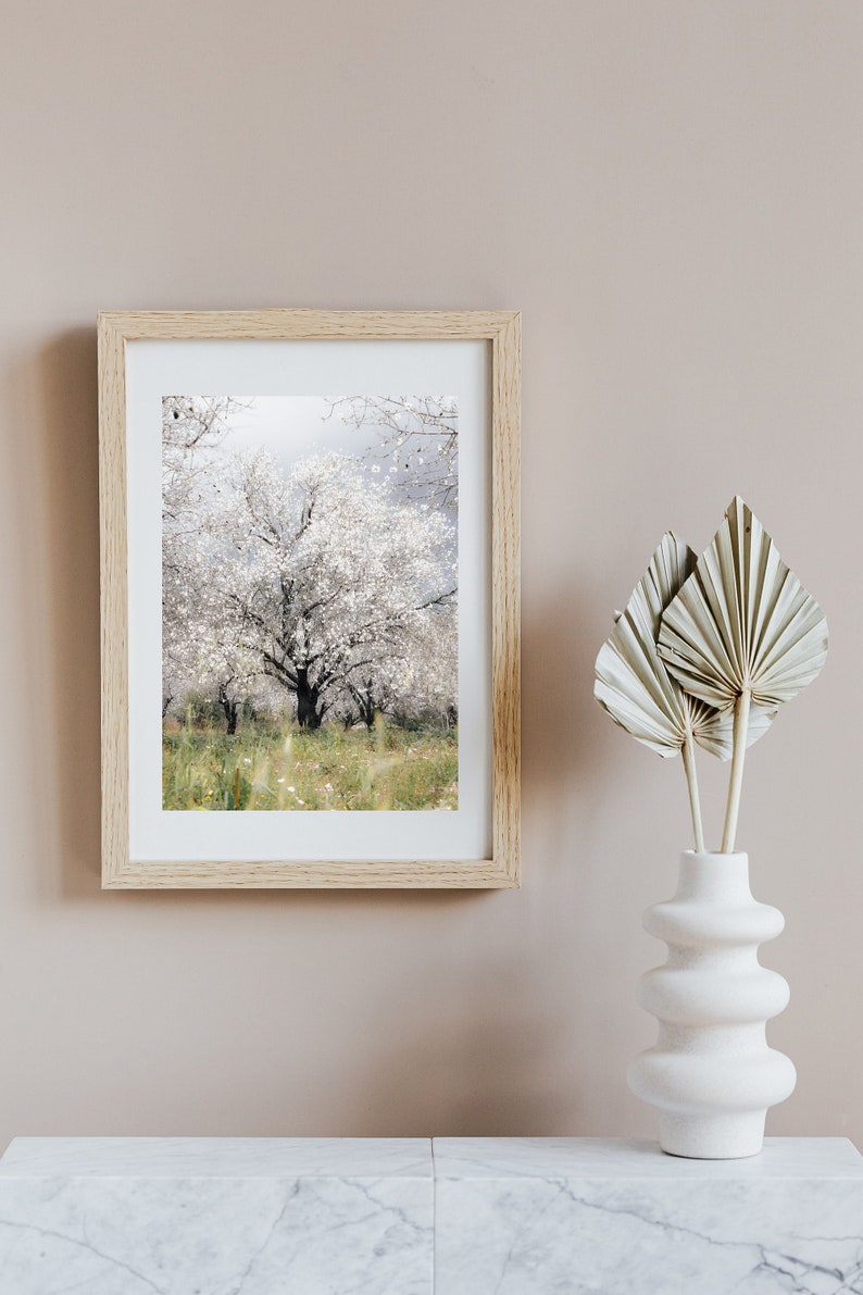 Spring Blossom Tree Photography Print: Neutral Home Decor (digital ...