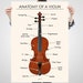 Violin Anatomy Poster, Violin Diagram Printable, Violin Parts Names ...
