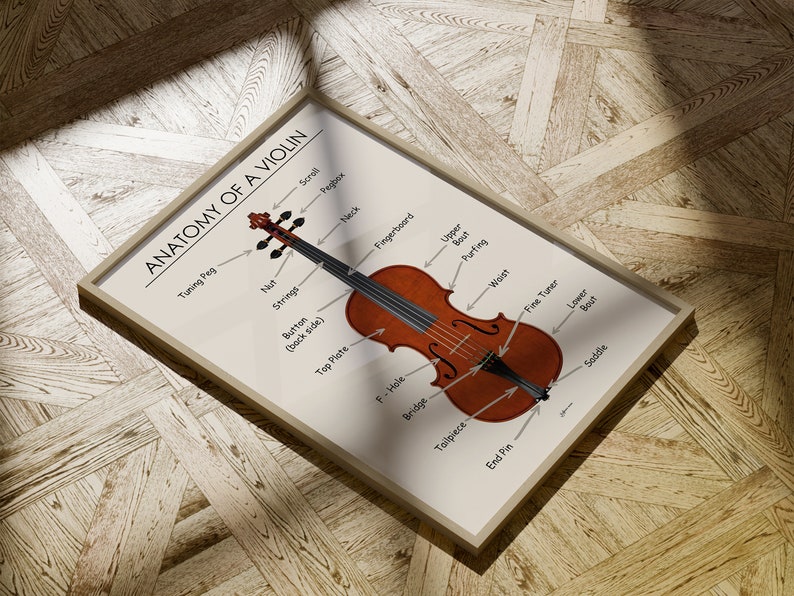 Violin Anatomy Poster, Violin Diagram Printable, Violin Parts Names ...