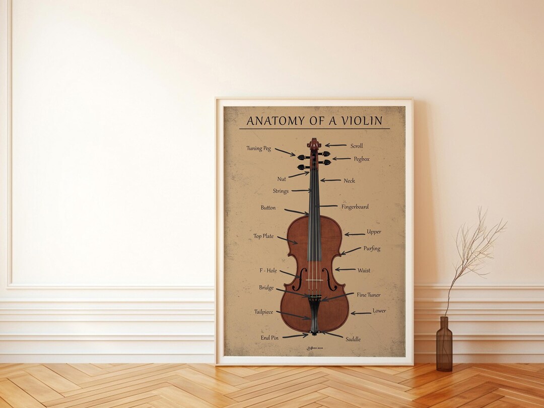 Violin Parts Chart, Vintage Violin Anatomy Poster, Printable Violin ...