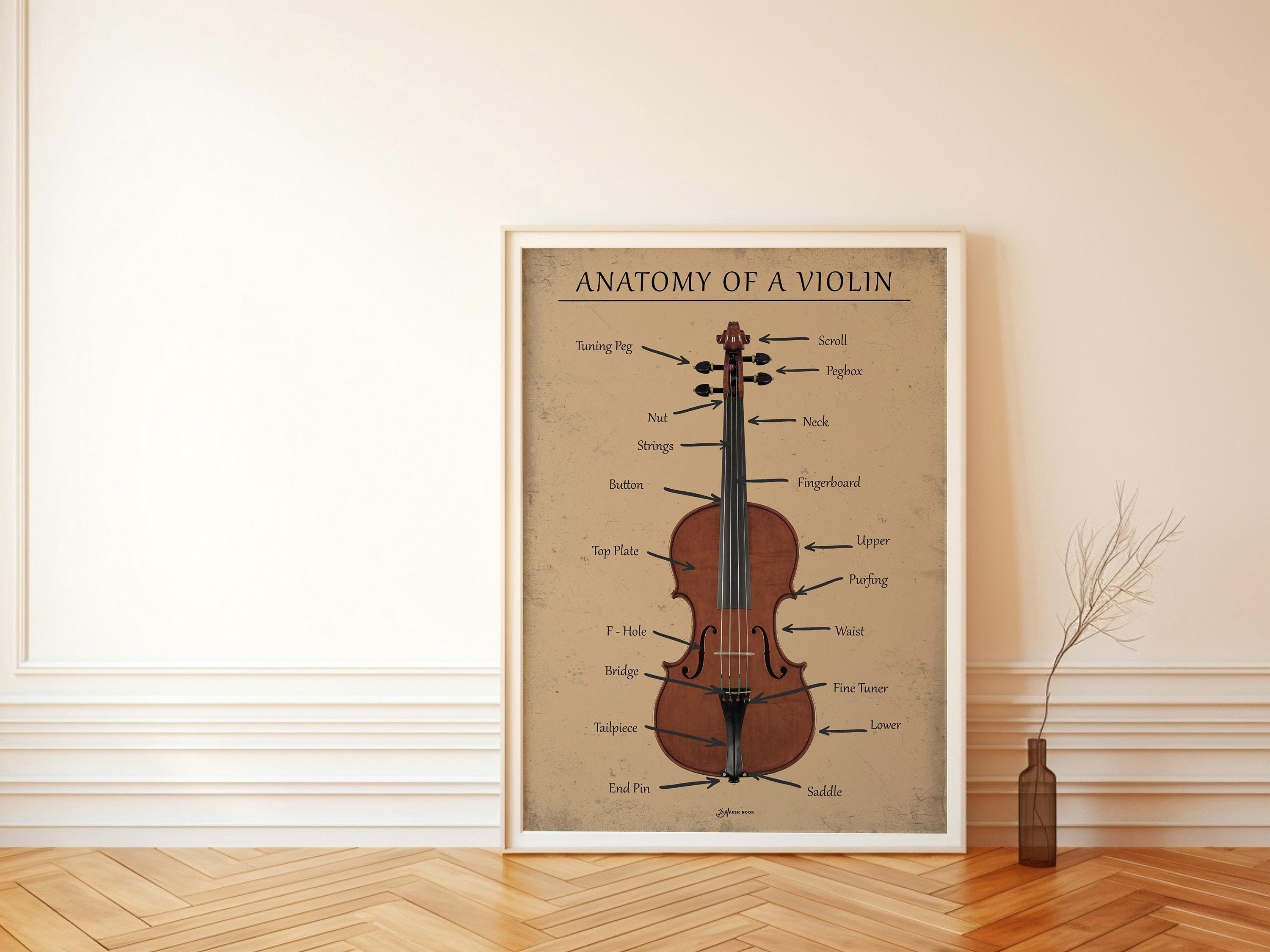 Violin Parts Chart, Vintage Violin Anatomy Poster, Printable Violin ...
