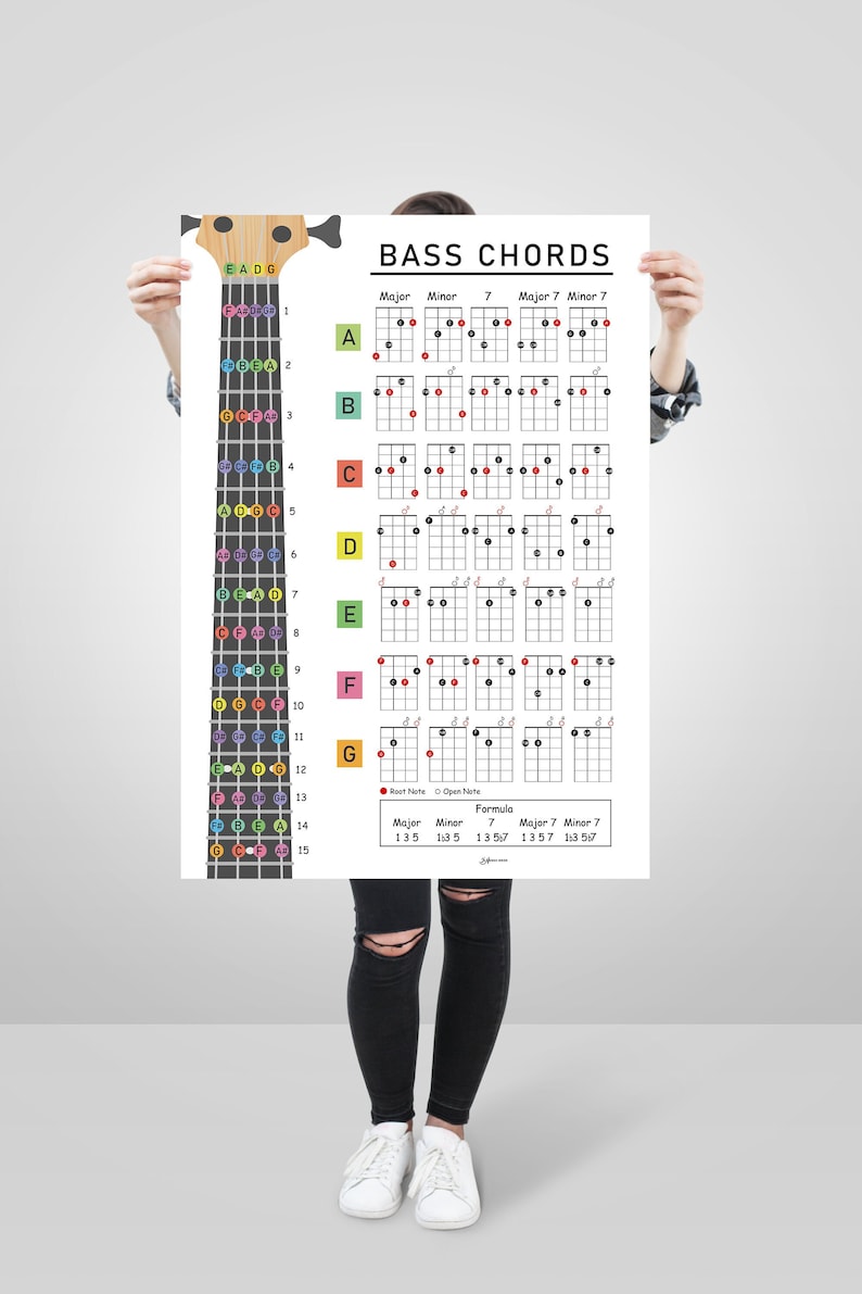 Bass Chords Poster, Gift Included-chords and Tabs Diagrams, Large ...