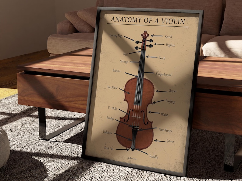 Violin Parts Chart, Vintage Violin Anatomy Poster, Printable Violin ...