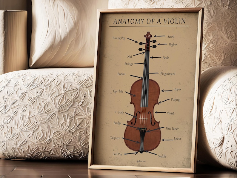 Violin Parts Chart, Vintage Violin Anatomy Poster, Printable Violin ...