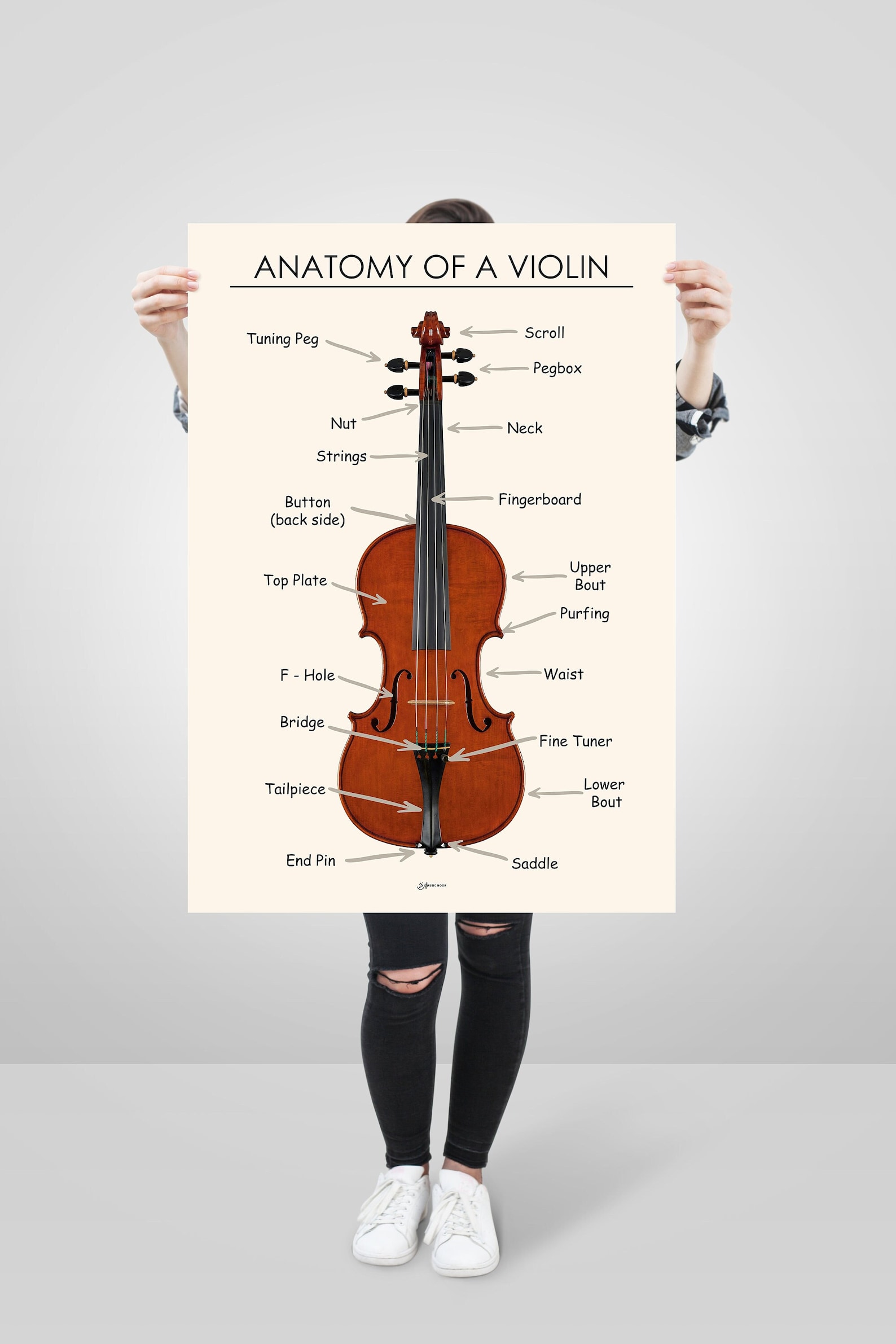 Violin Anatomy Poster, Violin Diagram Printable, Violin Parts Names ...
