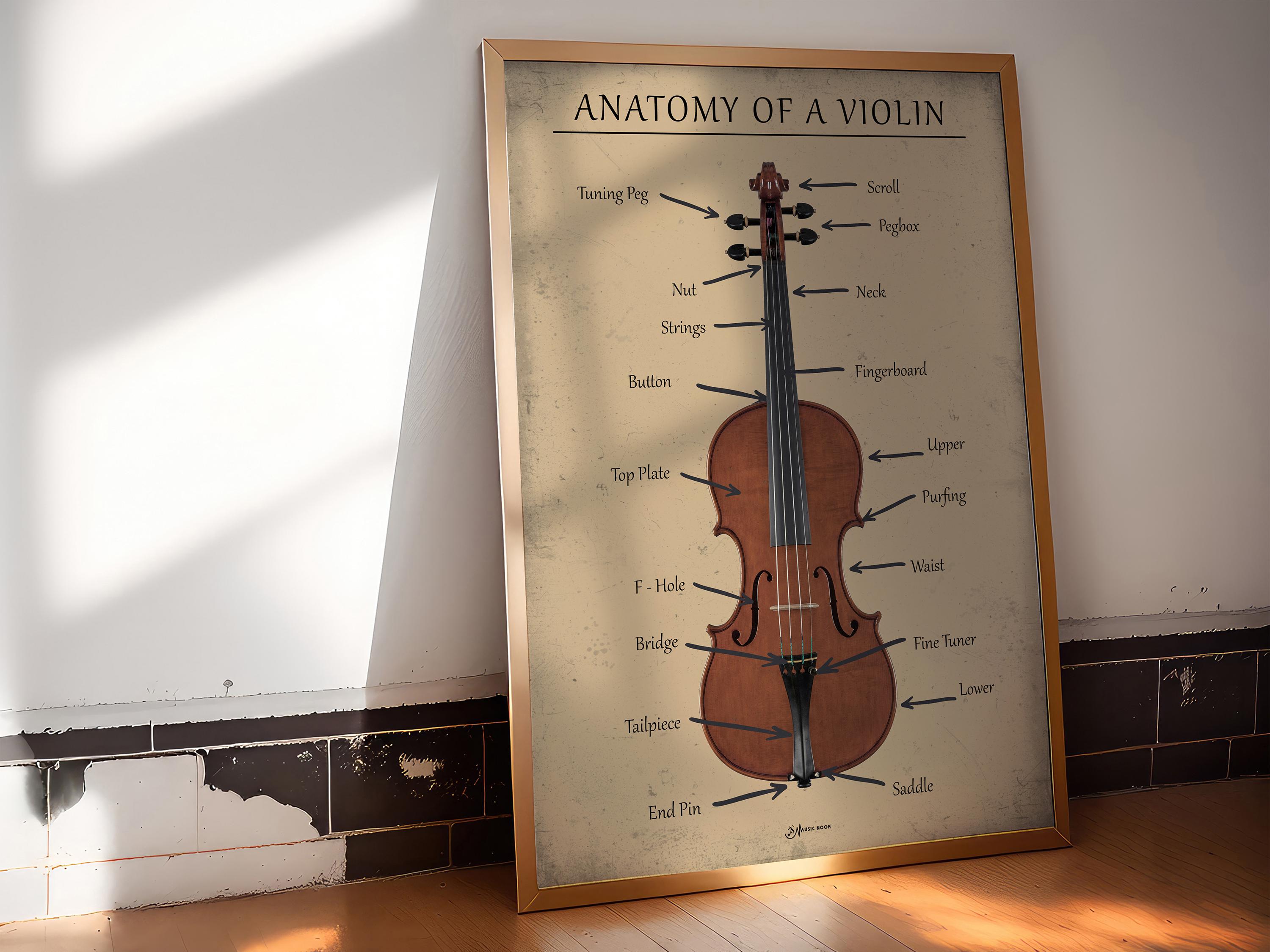 Violin Parts Chart Vintage Violin Anatomy Poster Printable Violin