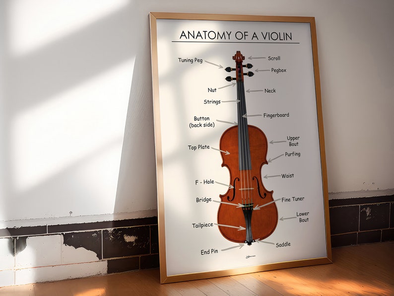 Violin Anatomy Poster, Violin Diagram Printable, Violin Parts Names ...