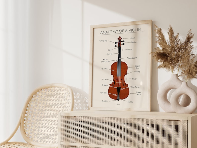Violin Anatomy Poster, Violin Diagram Printable, Violin Parts Names ...